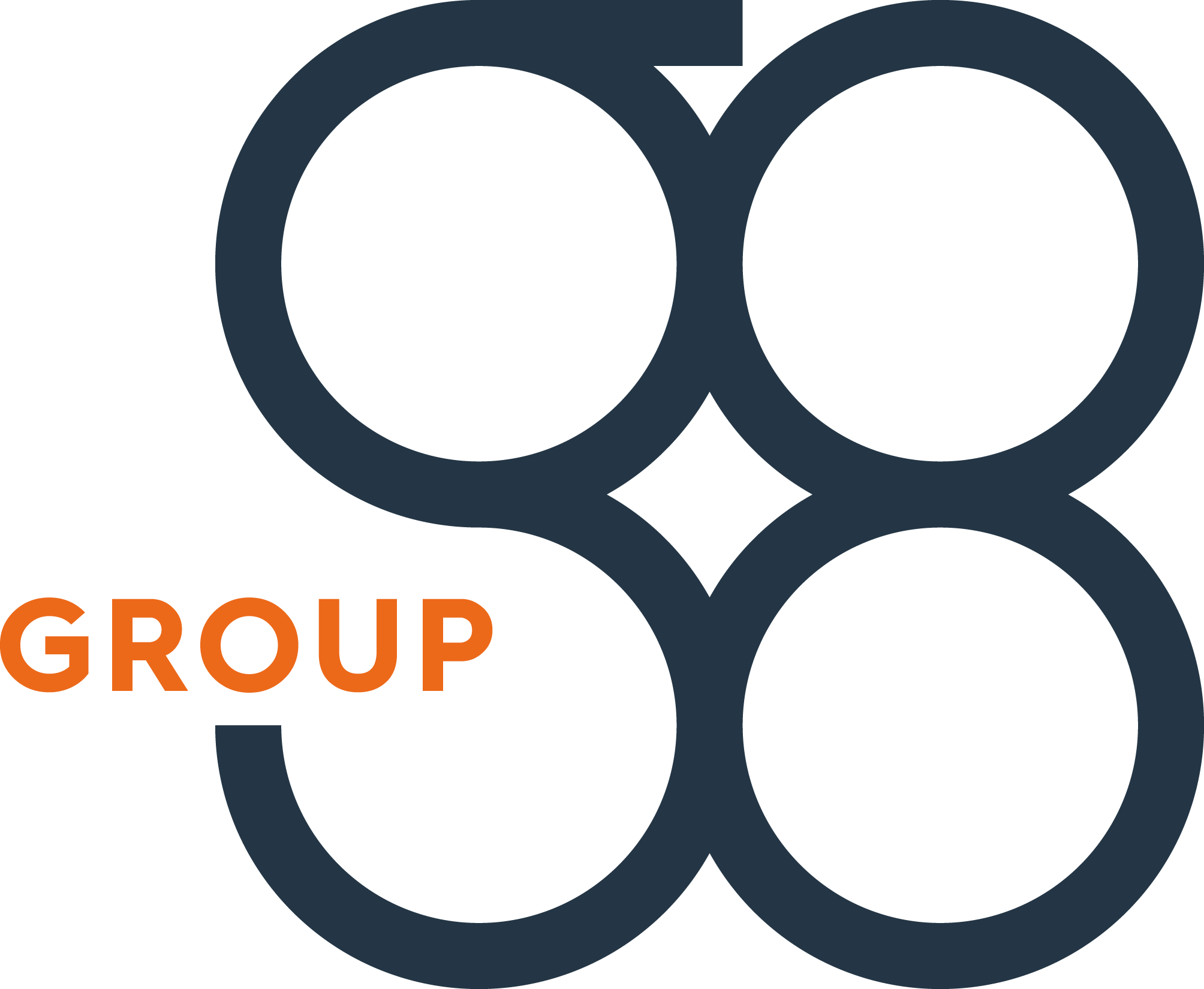 G8 Summit Logo